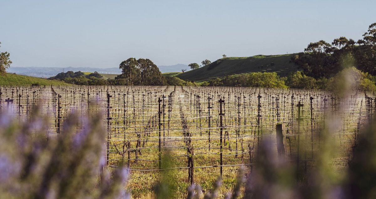 Results - Where is Stanly Ranch located?